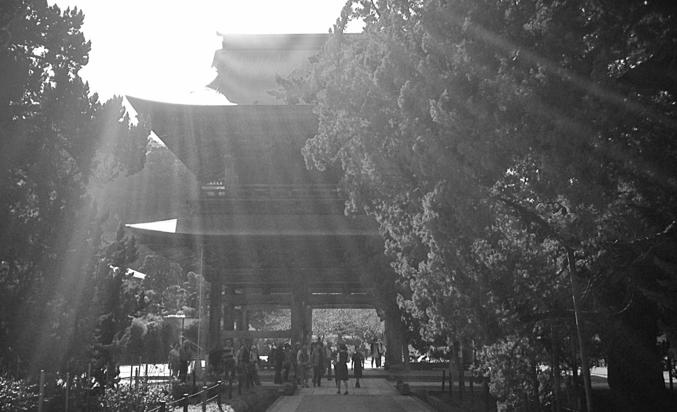 Sunshine Gate – 女性専用 – Inn By The Sea Kamakura – Women's Guesthouse